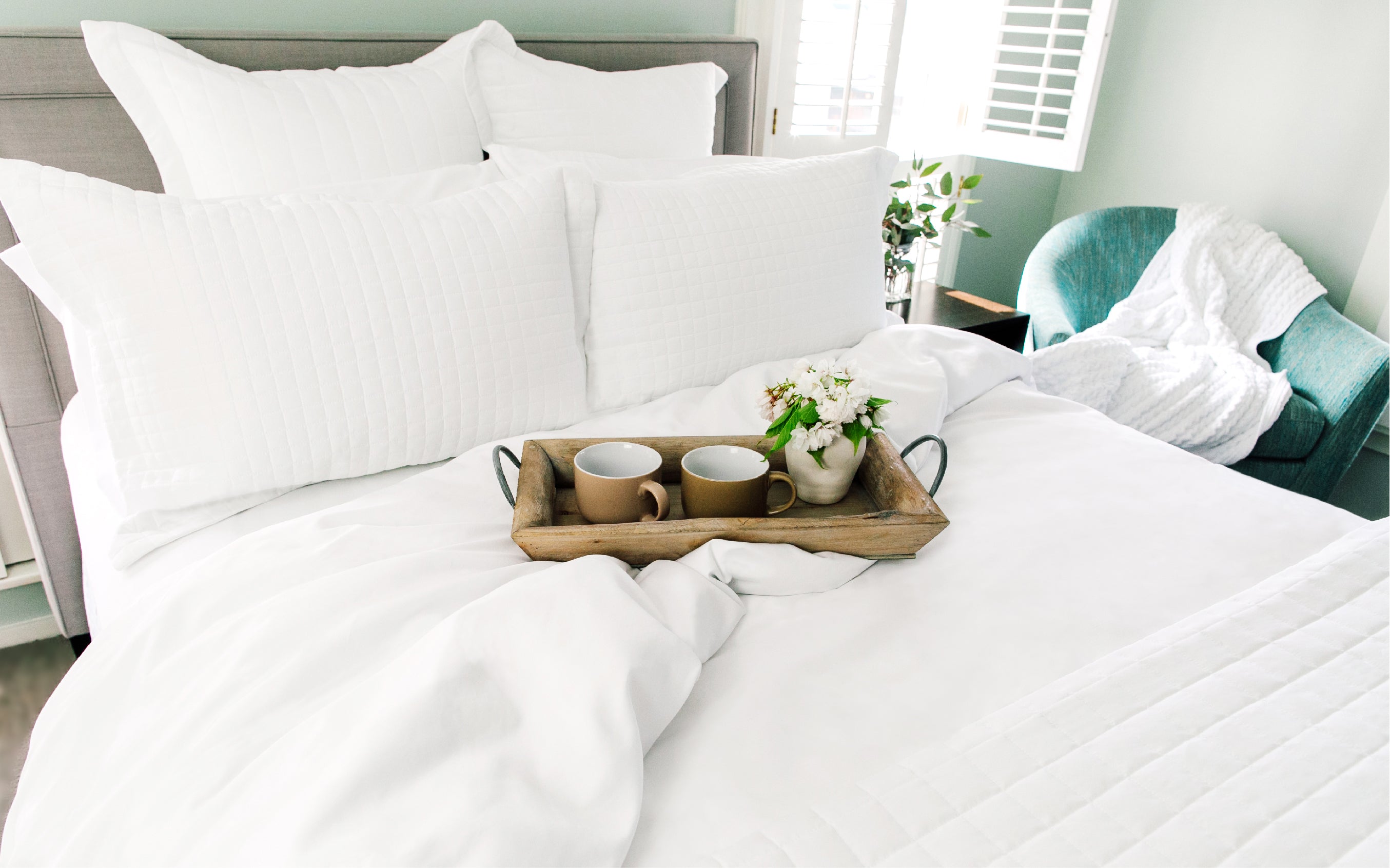 Essential Collection – The Comphy Company